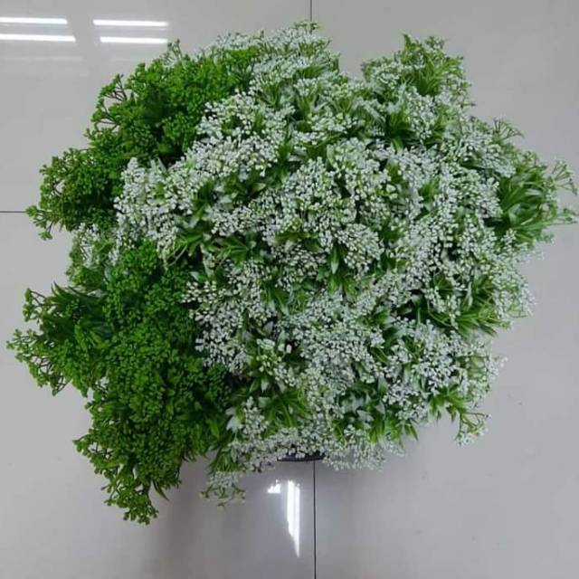 Jual PROMO acc rumput Dompol harga Selusin/Acc nanas menik putih ...