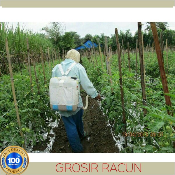 Jual Alat kocor Pertanian 20 liter SUPER PRAKTIS | Shopee Indonesia