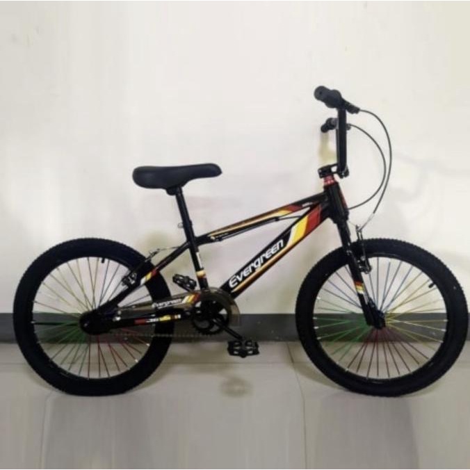 Jual SEPEDA ANAK DEWASA BMX 20 EVERGREEN B1 B 1 | Shopee Indonesia