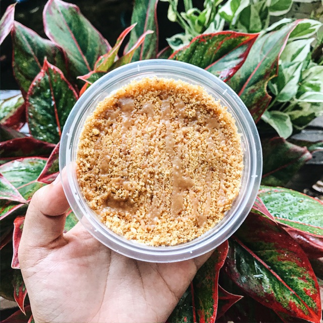 Jual Dessert Box - Banoffee Regal | Shopee Indonesia