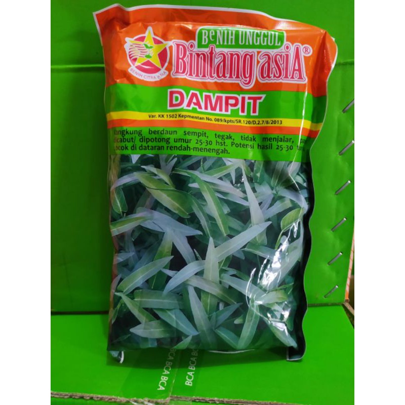 Jual Dampit 500 gr ( Benih Kangkung) | Shopee Indonesia