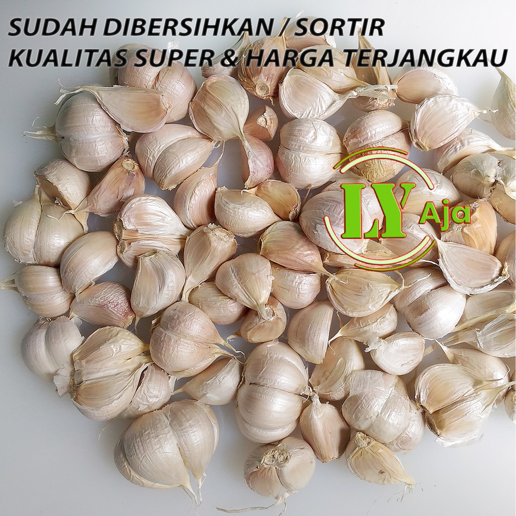 Jual Bawang Putih Kating BERSIH Pretelan 500 Gram Kualitas Super LY Aja ...