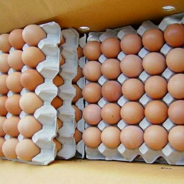 Jual Telur ayam 1 Paket: 5 kg (Rp. 27.500/Kilo) telur segar ...
