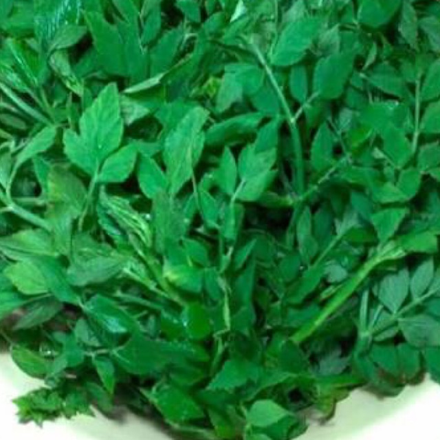 Jual Tespong atau seladren 500 gr | Shopee Indonesia