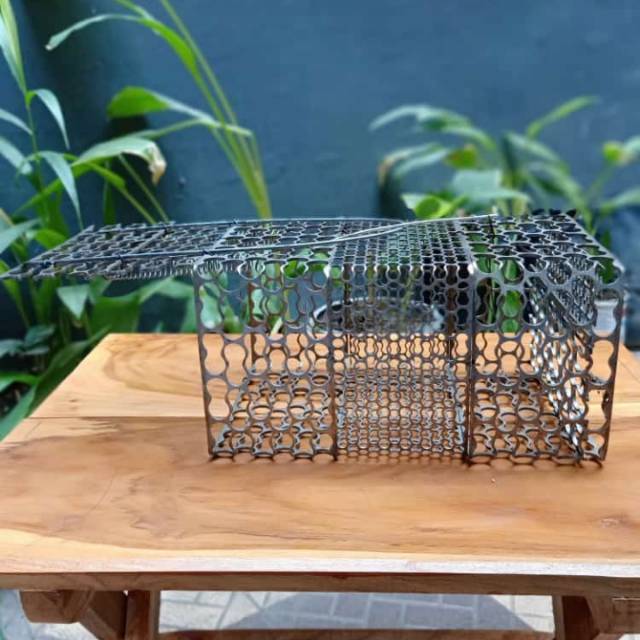 Jual Perangkap tikus / jebakan tikus | Shopee Indonesia