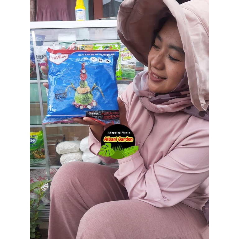 Jual Pupuk Npk 161616 Super Star Cap Tawon 1 Kg Kemasan Pabrik/ 500 ...