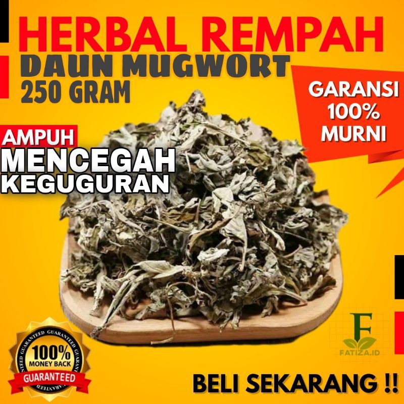 Jual MUGWORT DAUN BARU CINA KERING 250 GRAM - BARU CINA - Artemisia ...