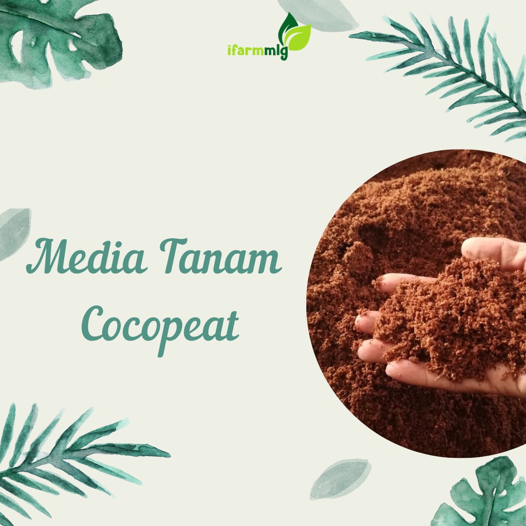 Jual Cocopeat - Cocopit - Kokopit Media Tanam Penggembur Tanah - Media ...