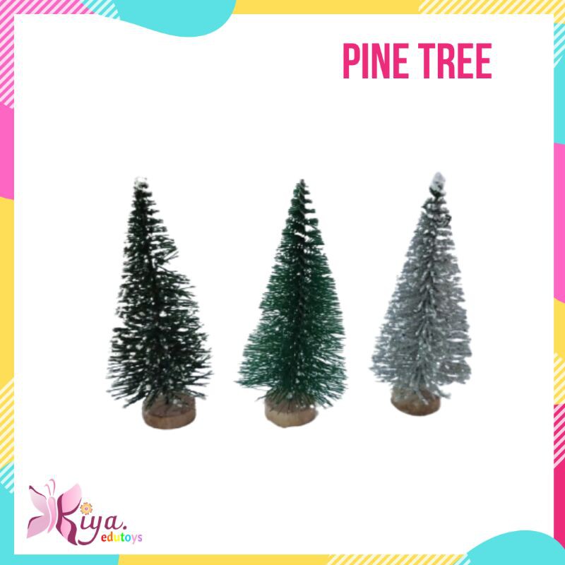 Jual Pine Tree - Pohon Pinus Cemara | Shopee Indonesia