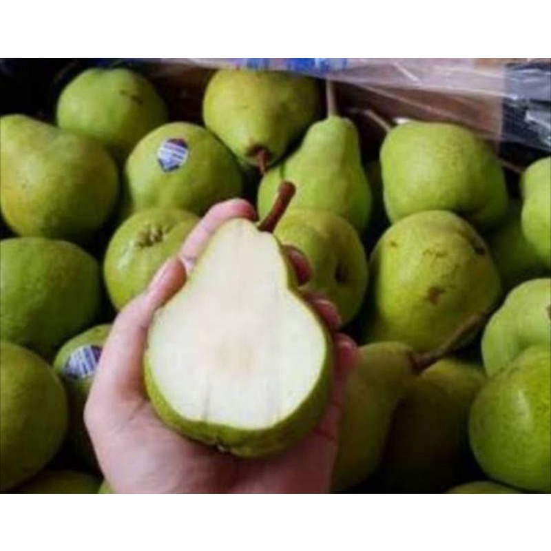 Jual Buah pear packam dan pear xiangly 1 kg | Shopee Indonesia