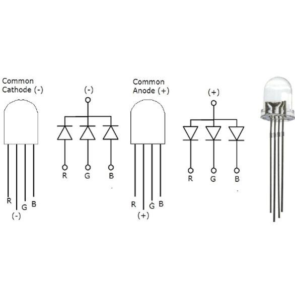 Jual Led 5Mm Rgb 4 Pin Common Cathode / Anode Mulsan19 Ayo Order ...