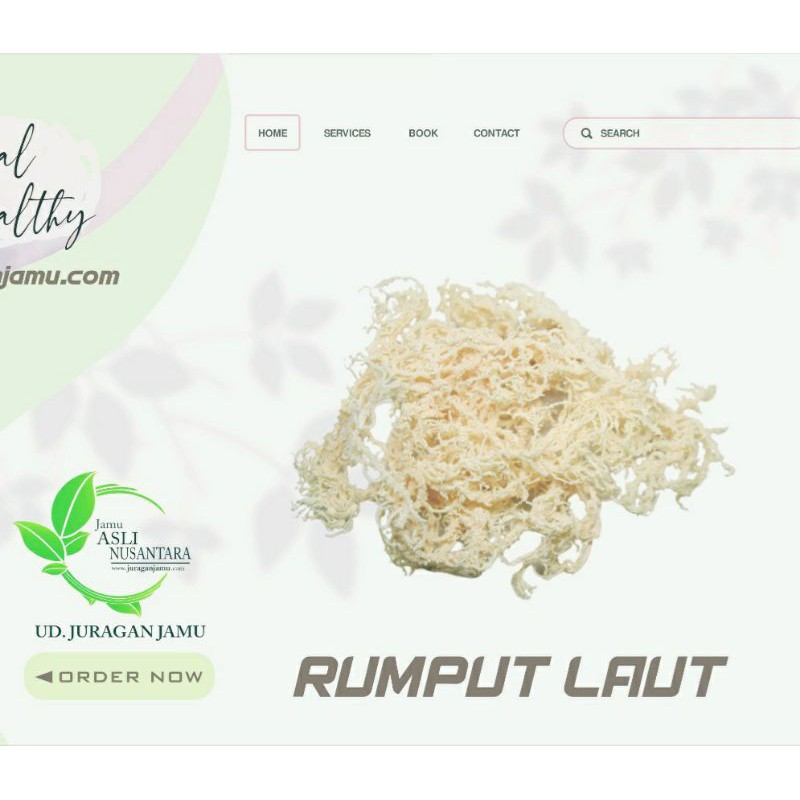 Jual BUBUK Rumput Laut serbuk / Kapsul / teh celup | Shopee Indonesia