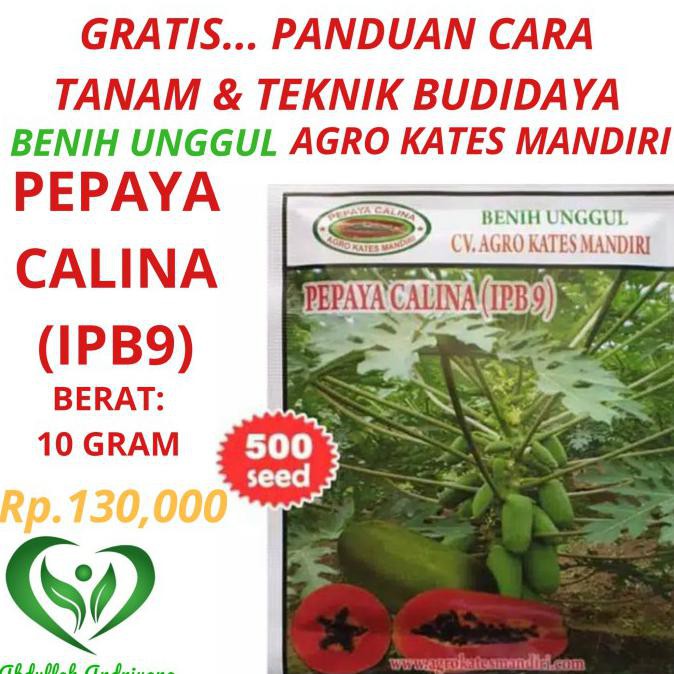 Jual Produk Ready Benih Bibit Pepaya Calina Ipb 9 10 Gram Produk Argo ...