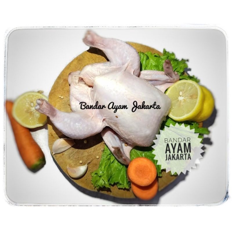 Jual Ayam Frozen Uk4/400gr-500gr/Ayam Potong/Ayam Broiler | Shopee ...