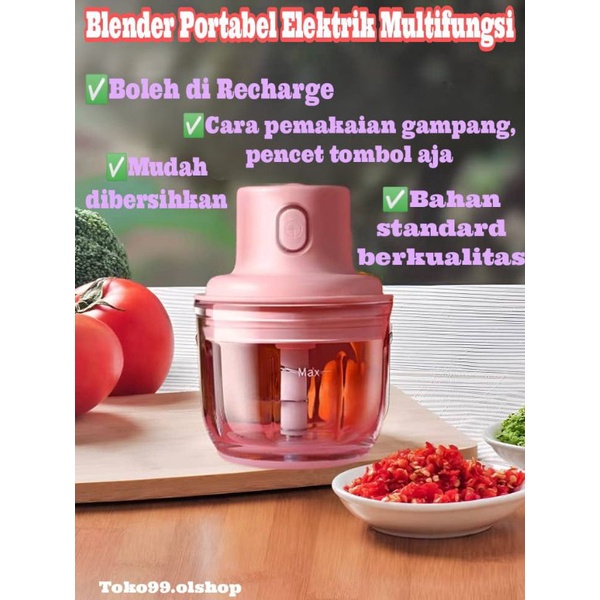 Jual Blender Mini Portable Food Procesor MPASI USB Chopper Bumbu ...