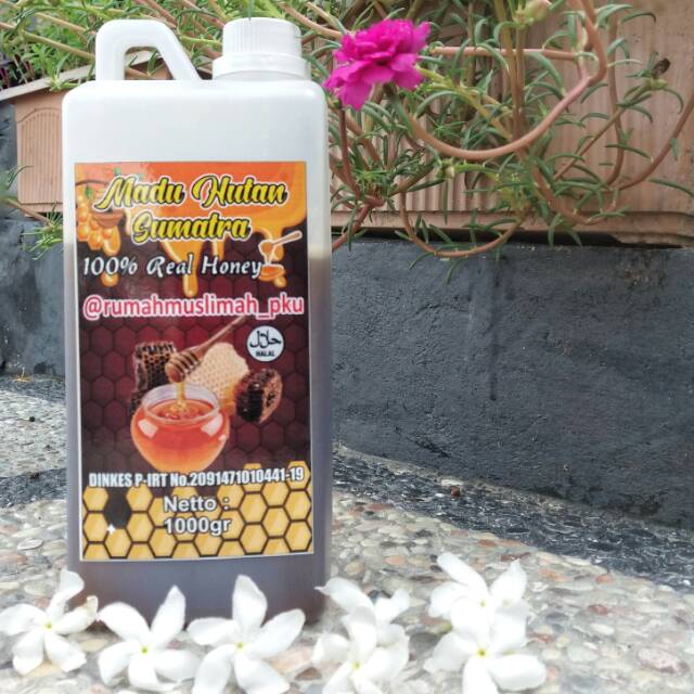 Jual MADU HUTAN SUMATRA 100% ASLI (1kg) | MADU ORGANIK 1KG | Shopee ...