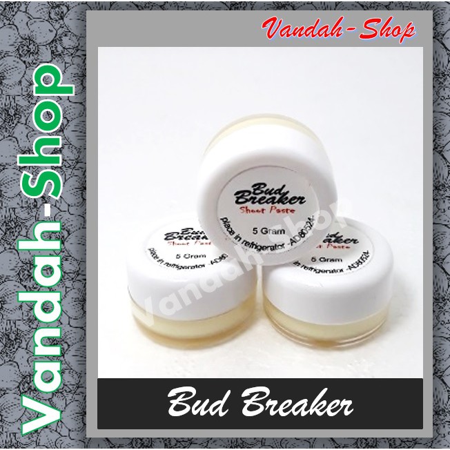 Jual Bud Breaker Salep Pemicu Tunas Pohon / Keiki pada Tanaman Anggrek ...