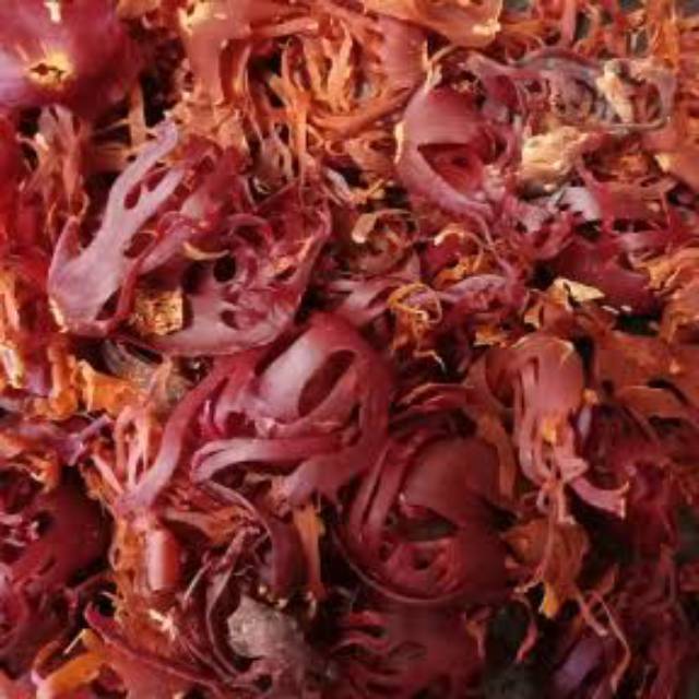 Jual Bunga pala /puli /sempra kering 100gr | Shopee Indonesia