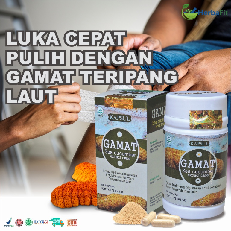 Jual KAPSUL GAMAT Untuk Obat Pasca Operasi isi 60 Kapsul Tanpa BKO ...