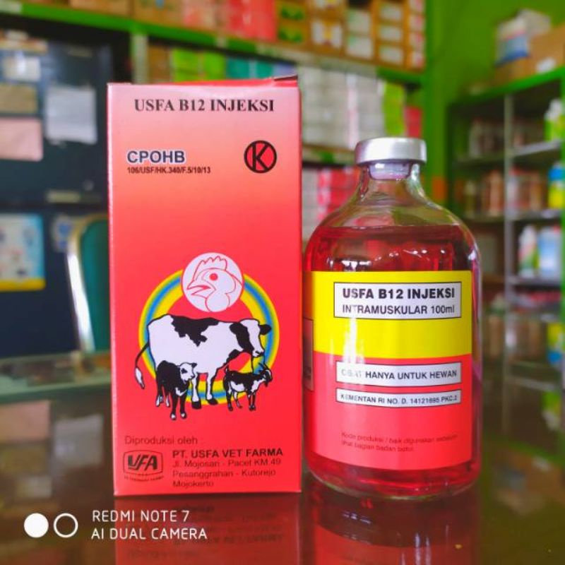 Jual Vitamin B12 100ml - Mencegah Anemia Kuning Pucat Pada Ayam Kuda ...