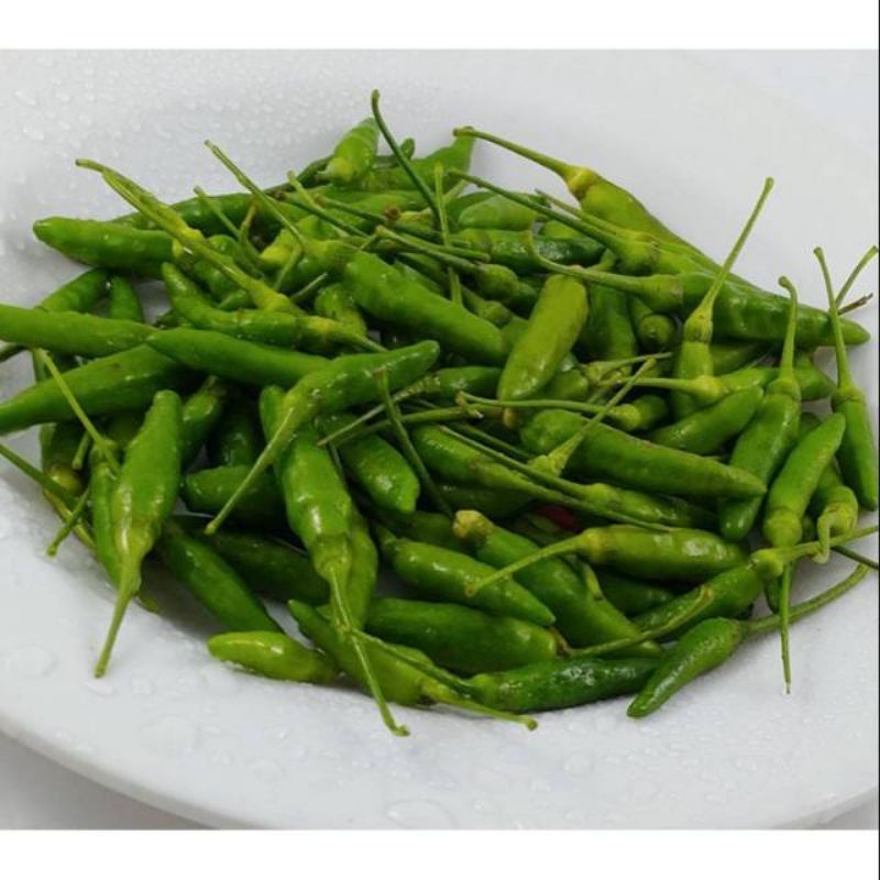 Jual Cabe Rawit Hijau / 100 Gram / Cabai Rawit Hijau | Shopee Indonesia
