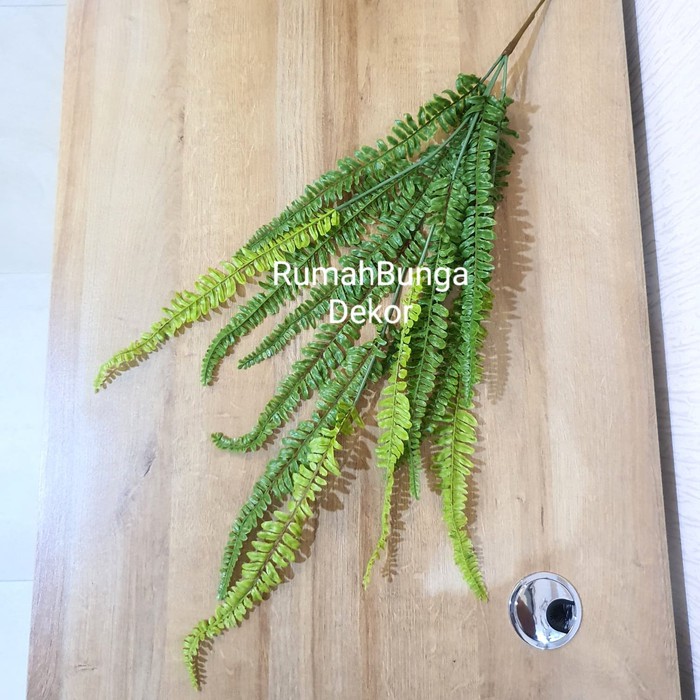 Jual Daun Pakis Juntai Artificial x14 | Shopee Indonesia