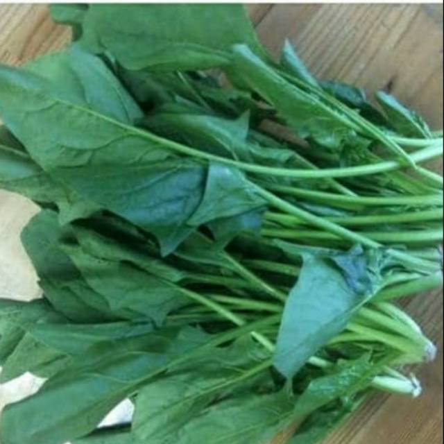 Jual Benih bayam jepang(horenzo) | Shopee Indonesia
