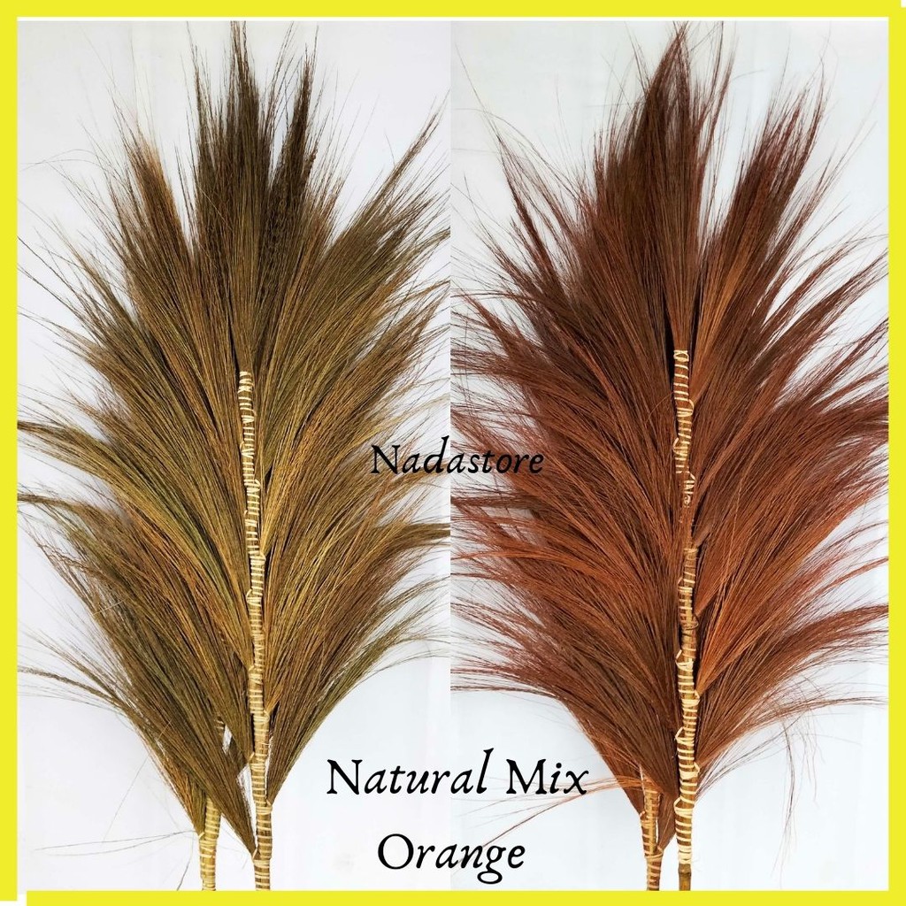 Jual ISI 2 BATANG Rayung Stik Decoration / Bunga Kering / Rayung Pampas ...