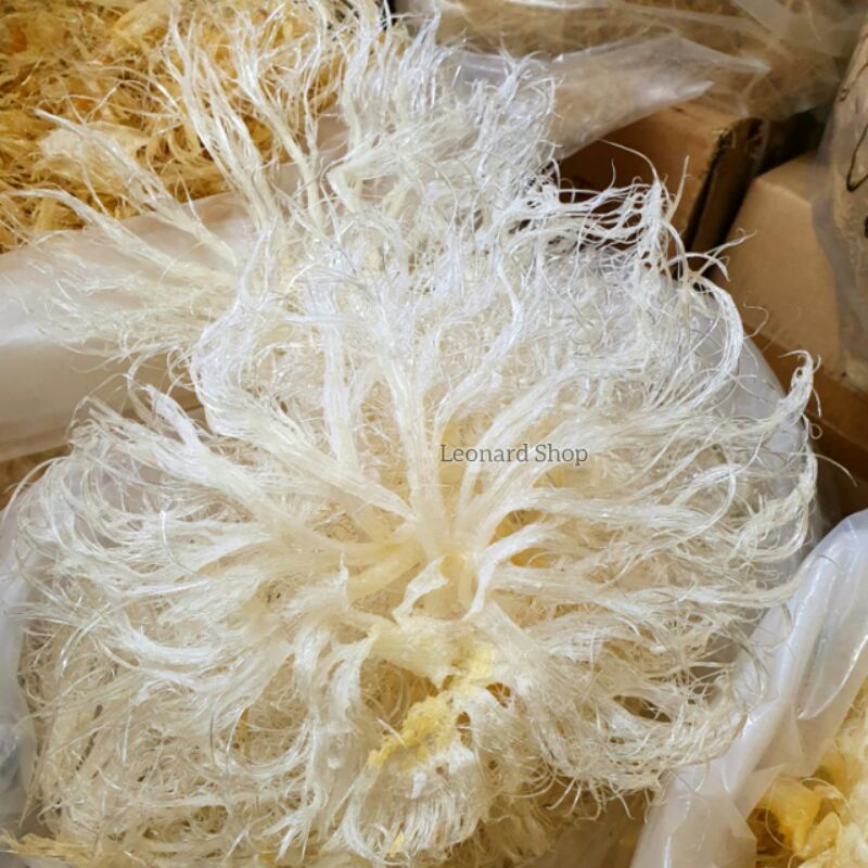 Jual HISIT UTUH BESAR SUPER 100GR / HU CHI KERING BAHAN SUP ASPARAGUS ...