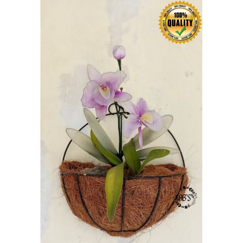 Jual POT SETENGAH LINGKARAN pot sabut kelapa besi | pot bunga gantung ...