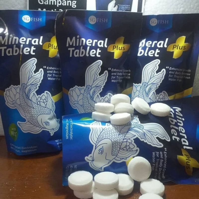 Jual MINERAL TABLET PLUS (ECERAN PER 1 PCS) | Shopee Indonesia