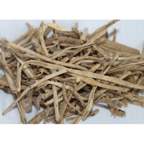 Jual PULOSARI BATANG PULOSARI | Shopee Indonesia