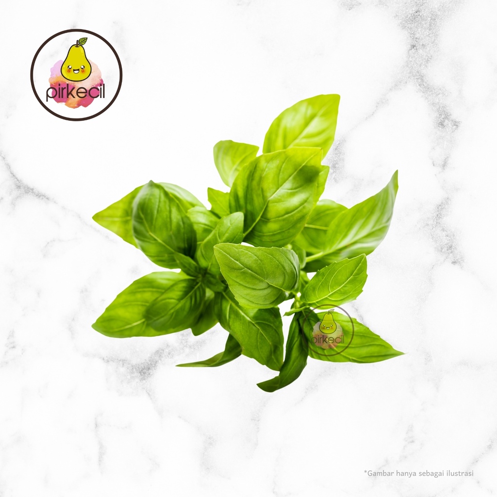 Jual Daun Basil Segar / Kemangi Thailand 100 gr | Shopee Indonesia