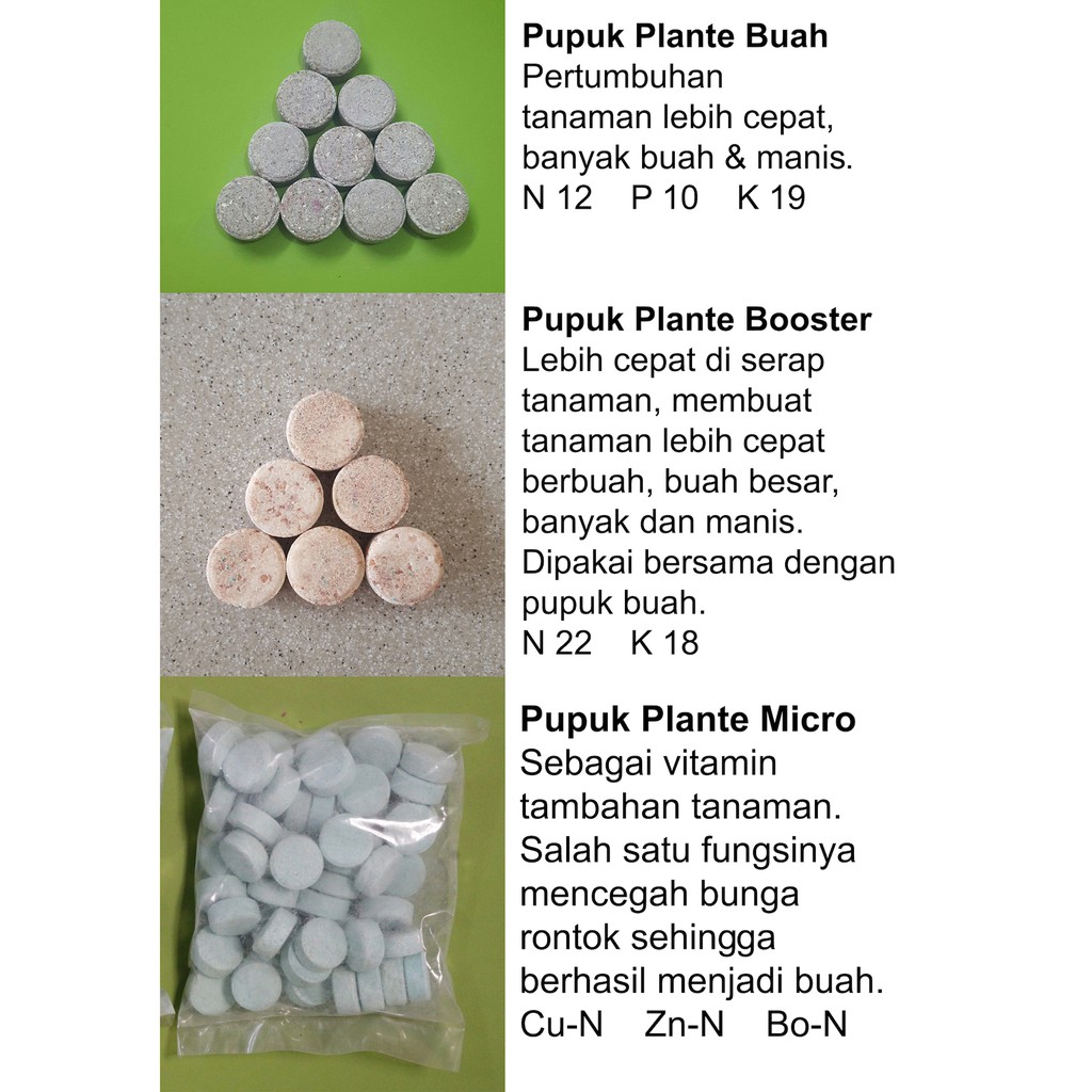 Jual Pupuk Plante paket 1kg untuk tanaman buah lebat manis subur pupuk ...