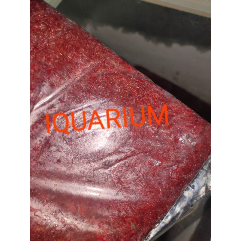 Jual Cacing beku cabek 1kg super kering tanpa air 1%pun garansi duit ...