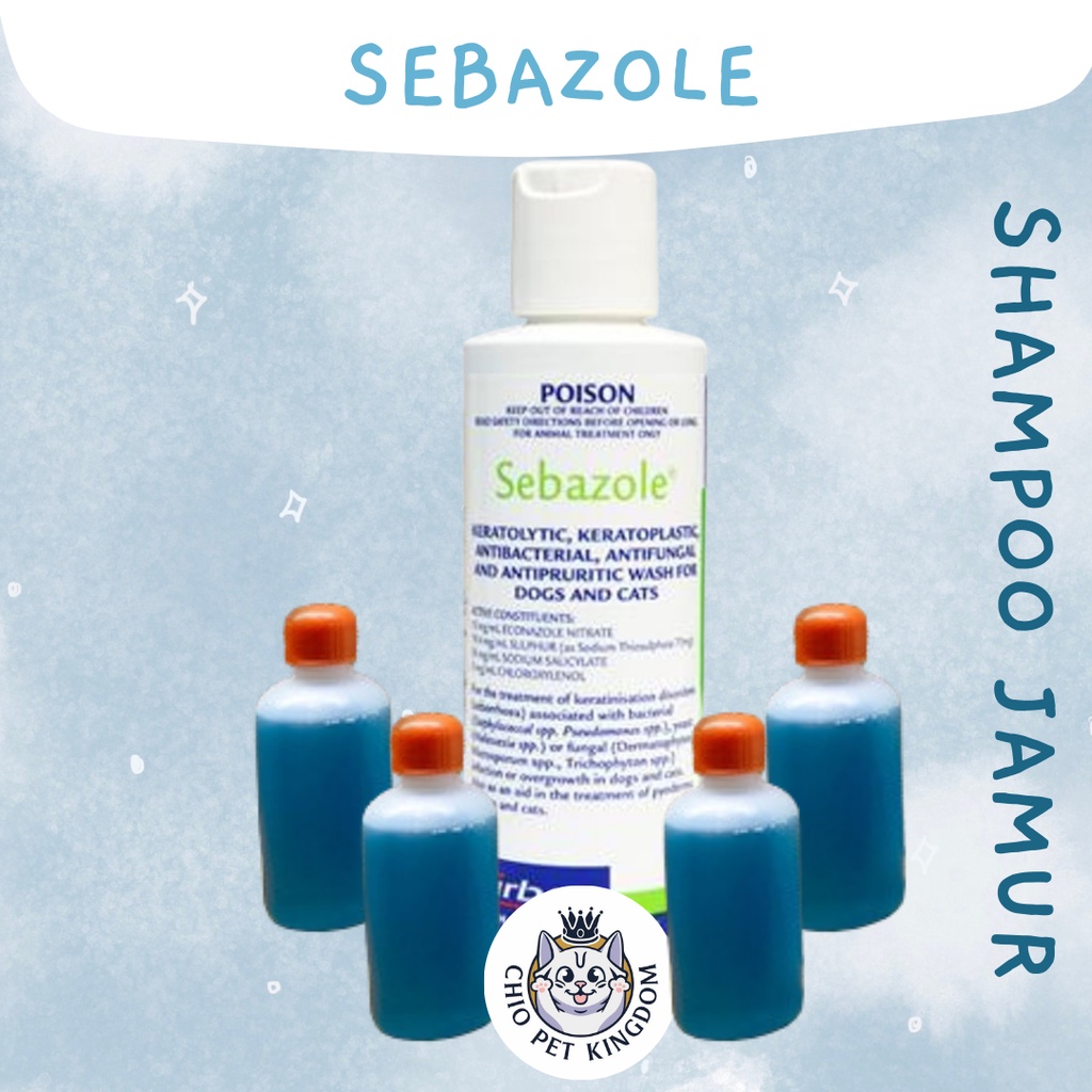 Jual [COD] SEBAZOLE SHAMPOO Anti Jamur Kucing dan Anjing PALING AMPUH ...