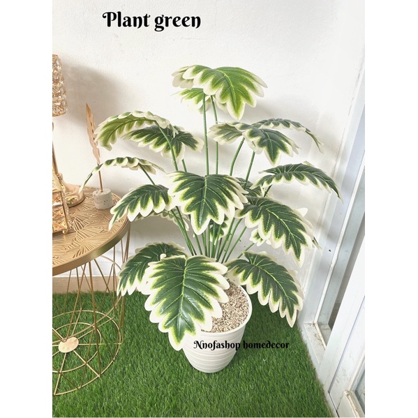 Jual ARTIFICIAL PLANT /POHON MONSTERA ARTIFICIAL /POHON SUDUT/ DAUN ...
