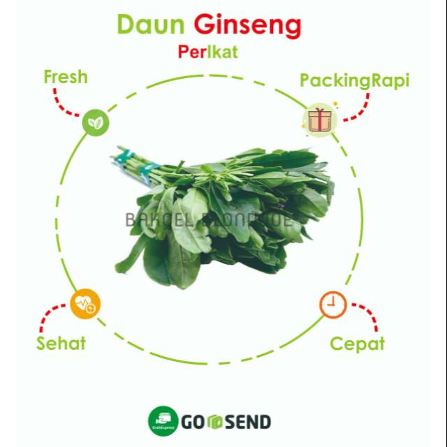 Jual DAUN GINGSENG PER IKAT / GINSENG LEAVES / FRESH VEGETABLES ...