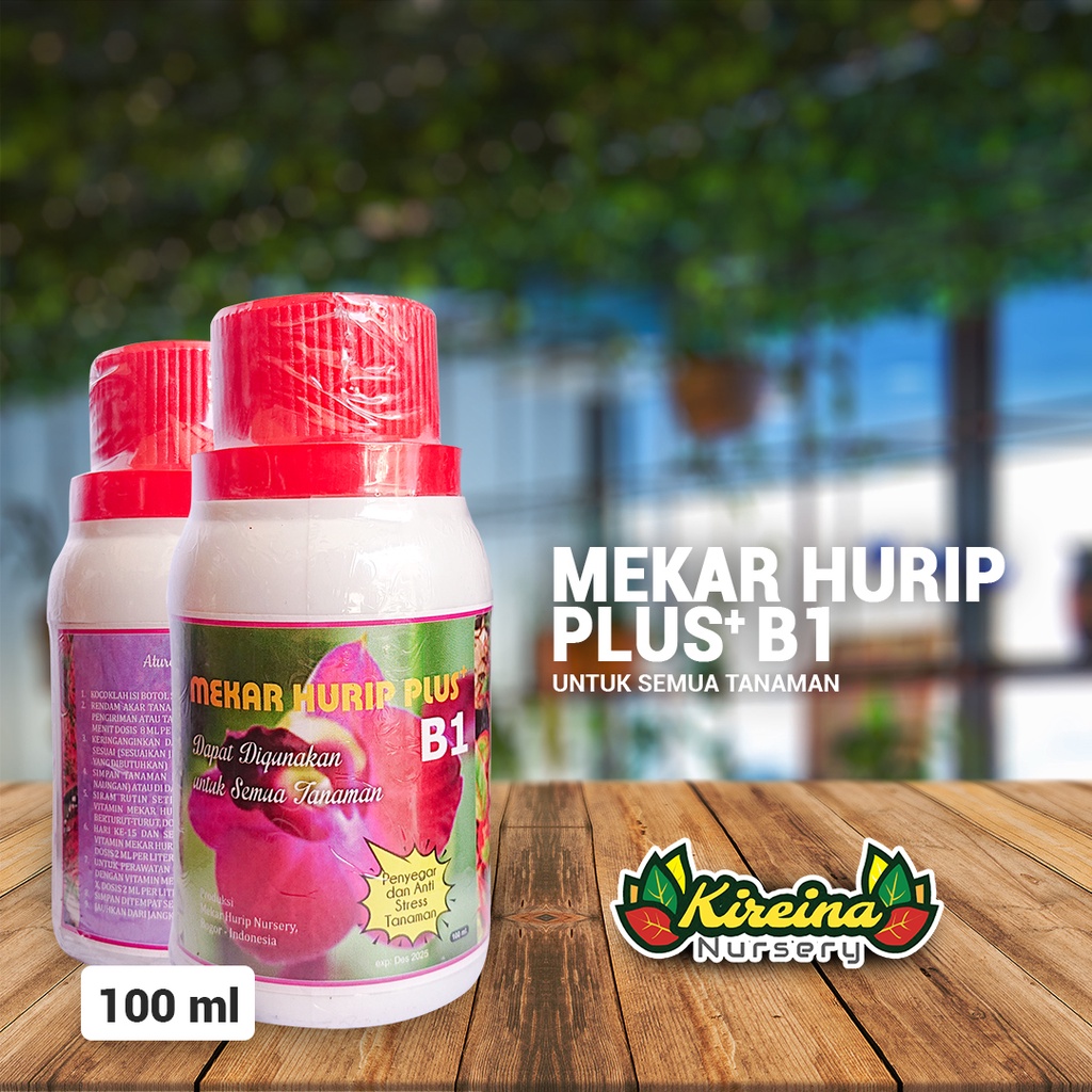 Jual Vitamin B1 Mekar Hurip Plus 100ml | Shopee Indonesia