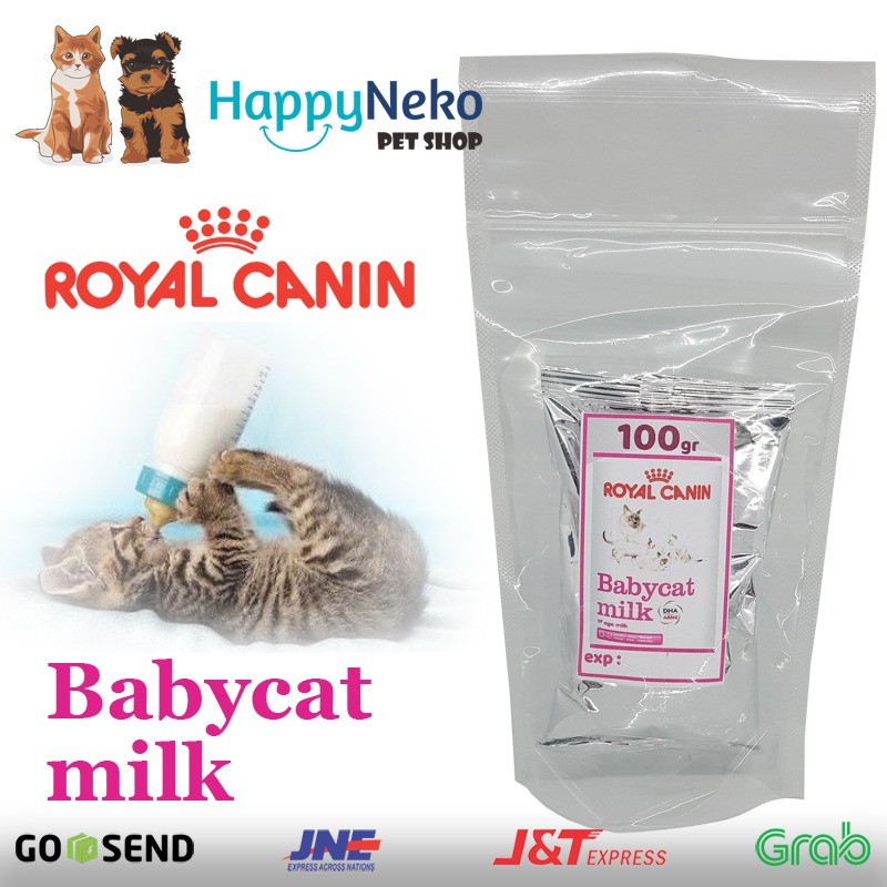 Jual ROYAL CANIN BABYCAT MILK 100GR SUSU KHUSUS ANAK KUCING | Shopee Indonesia