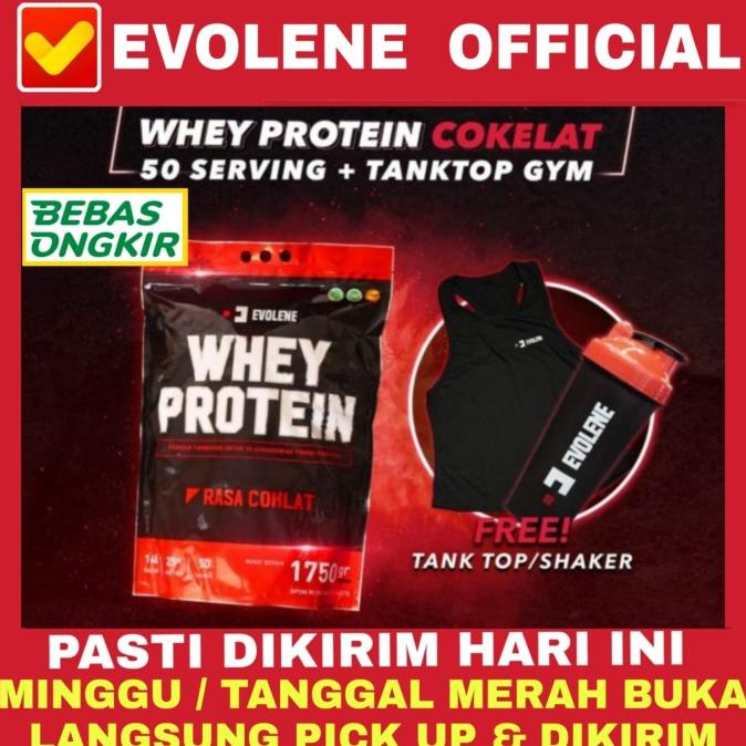 Jual Evolene Whey Protein 1,9 kg 50 sachet serving susu evo whey gym ...