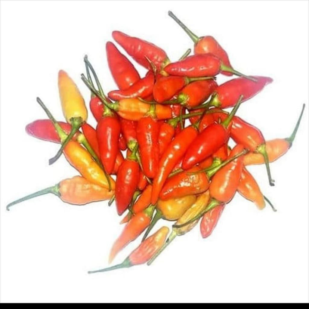 Jual Cabe Rawit Merah 250 Gr | Shopee Indonesia