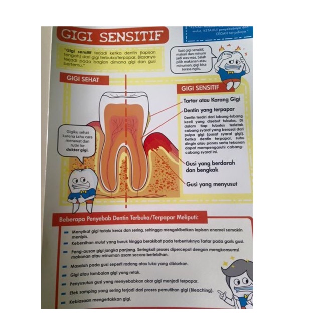 Jual Poster edukasi Gigi | Shopee Indonesia