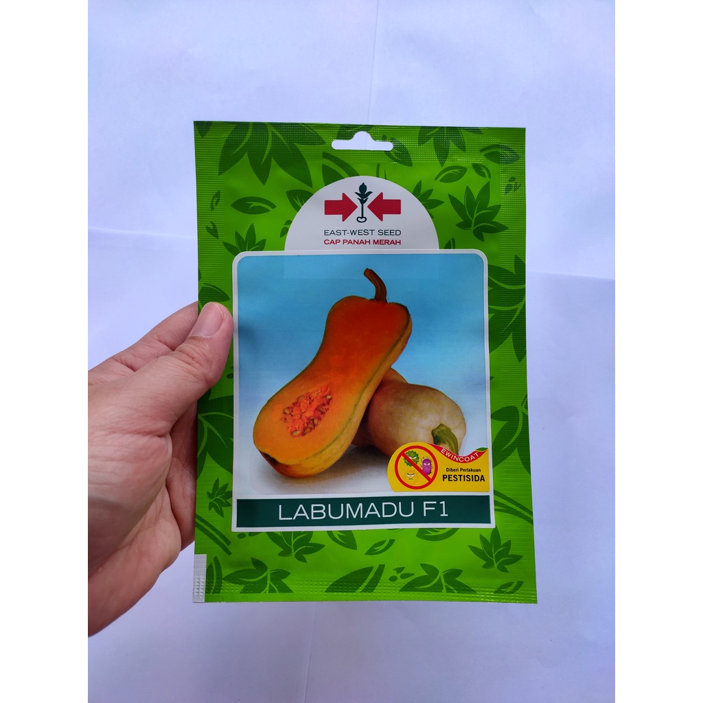 Jual Benih Bibit Labu Madu Butternut Squash Panah Merah kemasan asli SP ...