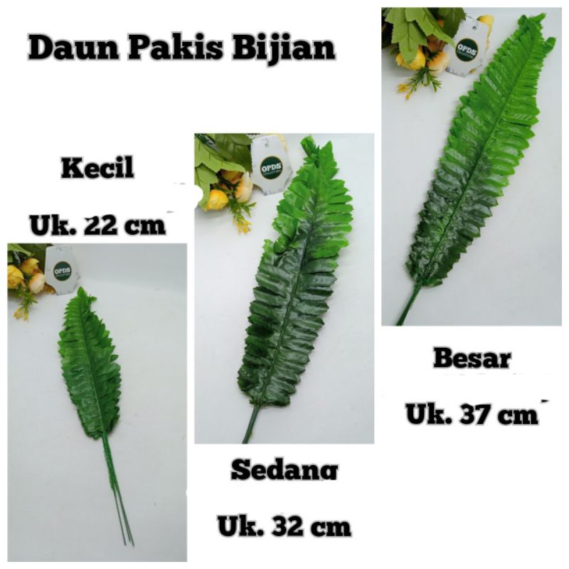 Jual Daun pakis bijian/ daun pakis buatan | Shopee Indonesia