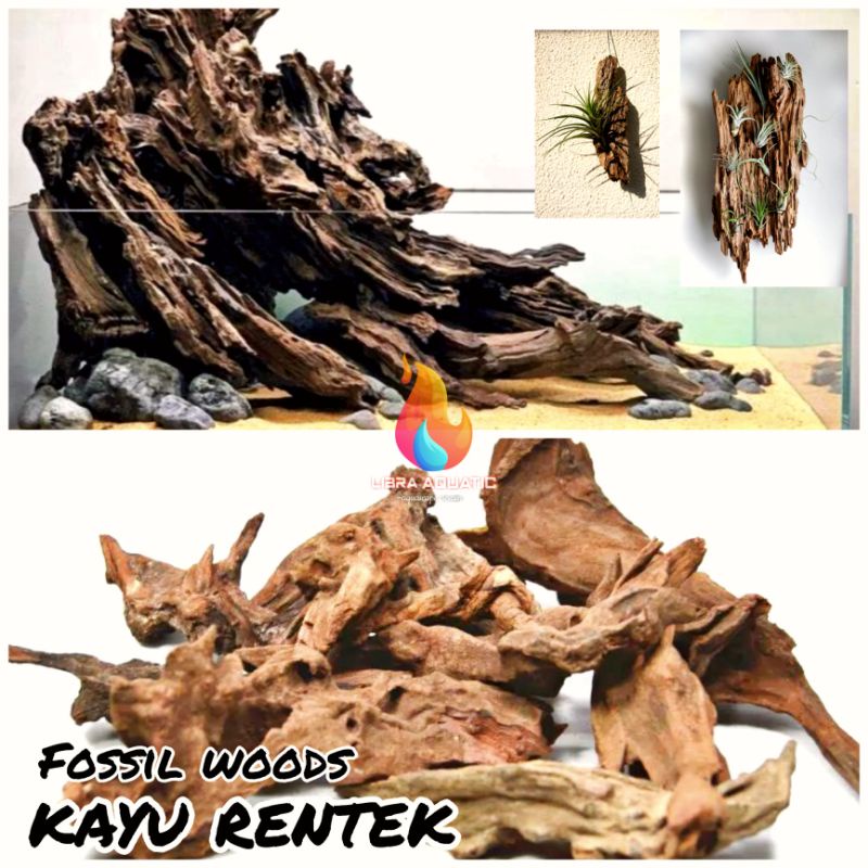 Jual KAYU RENTEK KAYU AQUARIUM AQUASCAPE PALUDARIUM TERRARIUM | Shopee ...