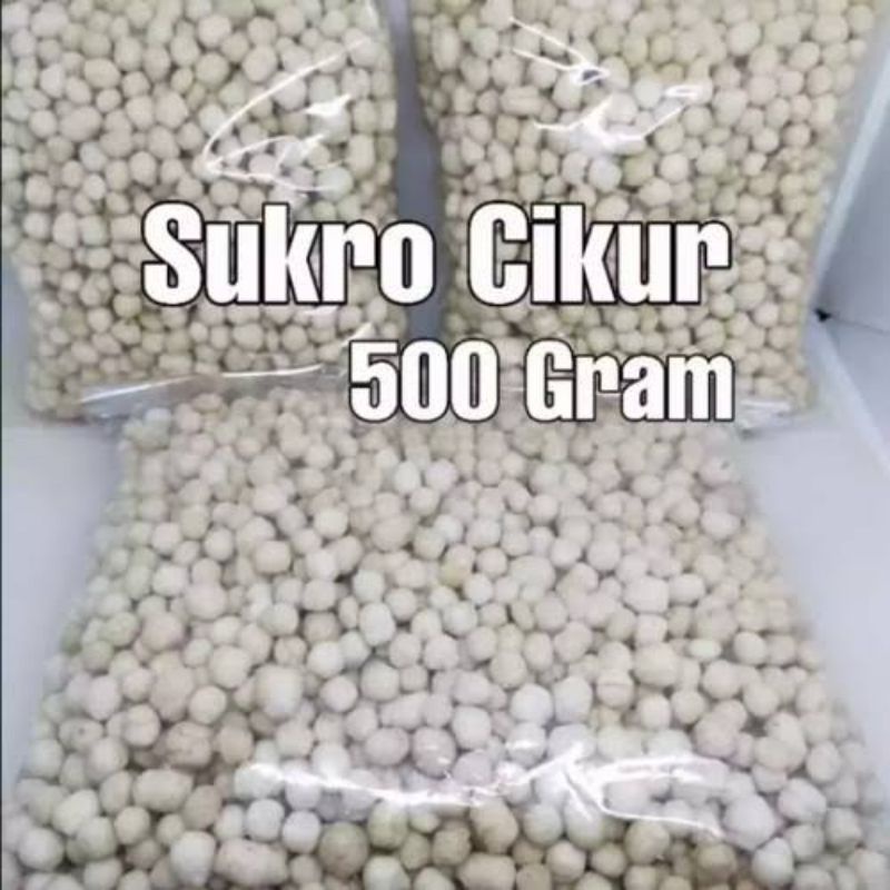 Jual sukro cikur 500gr murah pilus cikruh toping baso aci | Shopee ...