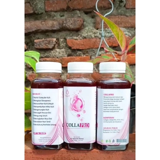 Jual Collagen CollaPro Sayyid 250ML by Rayya | Shopee Indonesia