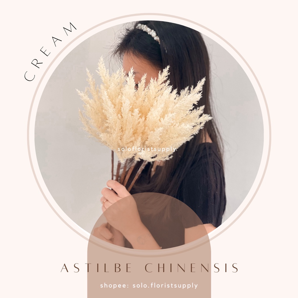 Jual ASTILBE CHINENSIS ARTIFICIAL Bunga Astilbe Tangkai Panjang ...