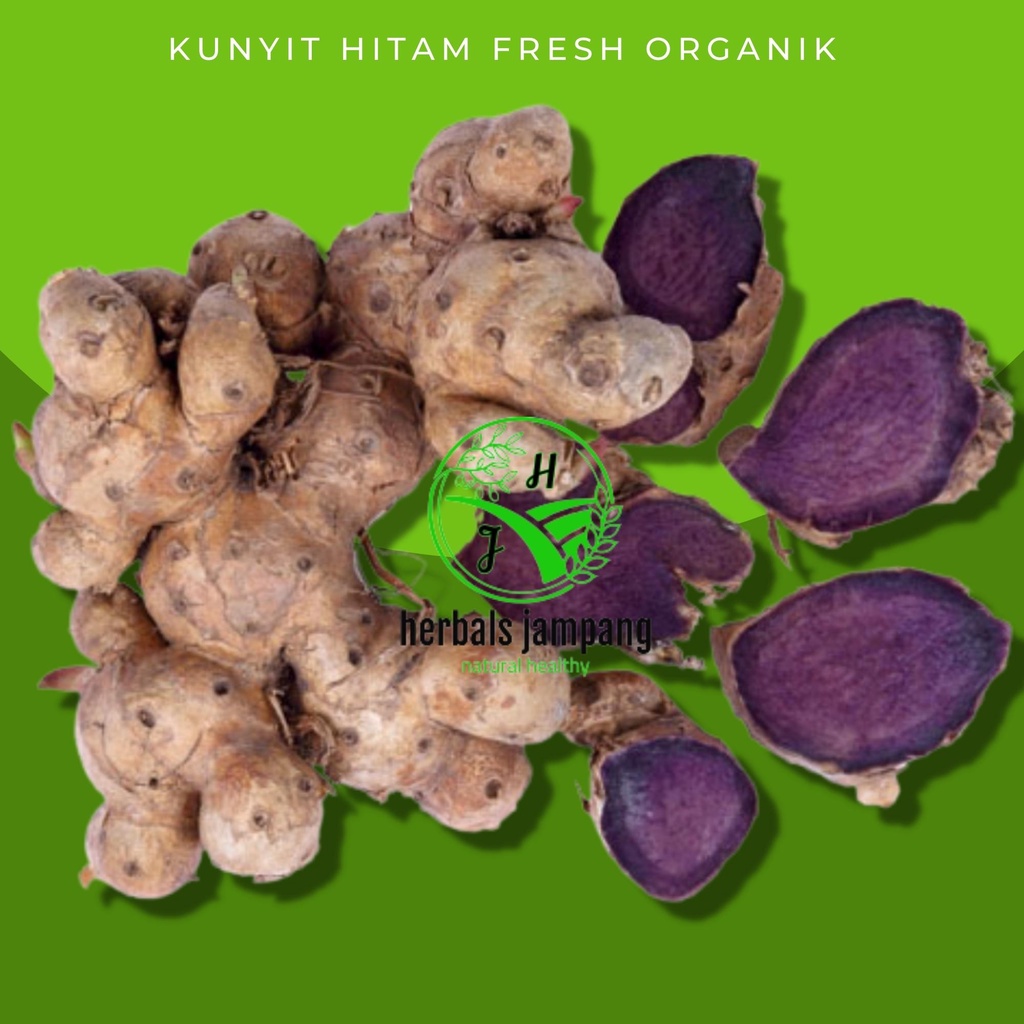 Jual kunyit hitam temu ireng segar organik lebih aman dan sehat unutk ...